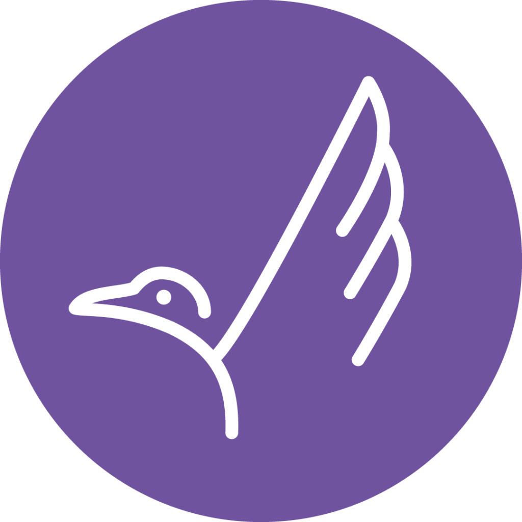 About Us - Snow Goose Media 雪雁传媒